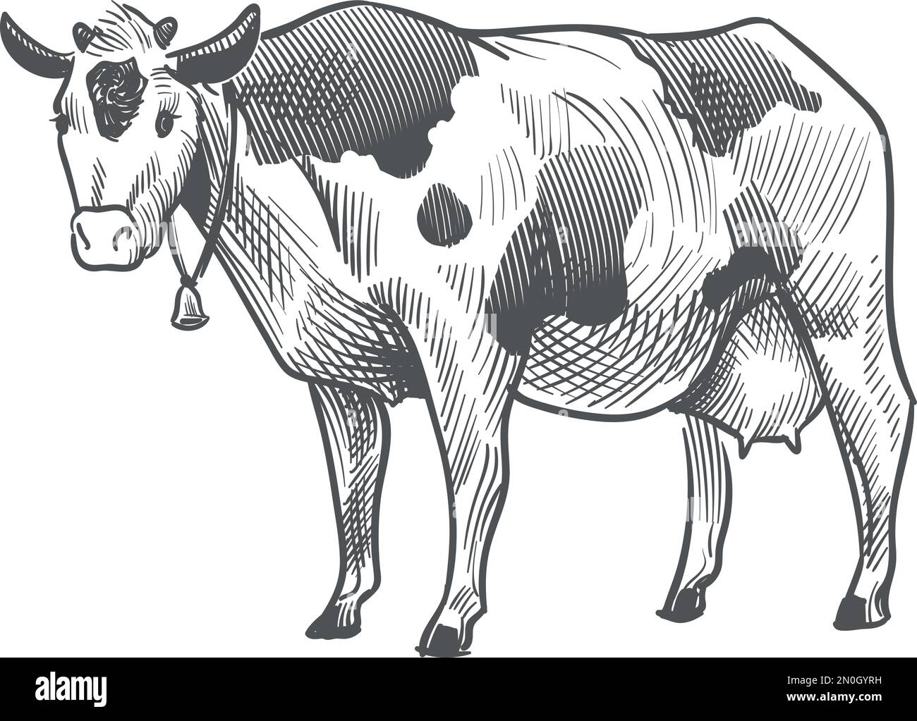 Cow engraving. Cattle icon. Hand drawn farm animal Stock Vector Image ...