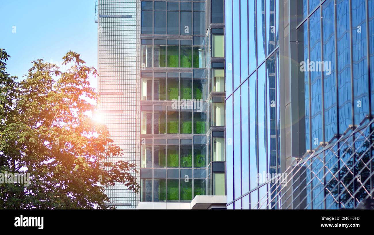 Eco architecture. Green tree and glass office building. The harmony of ...