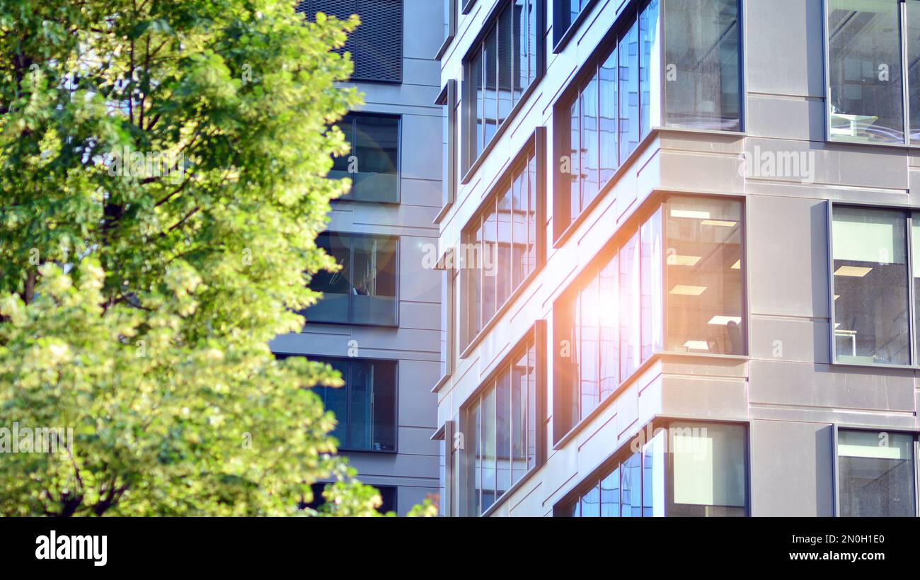 Eco architecture. Green tree and glass office building. The harmony of ...