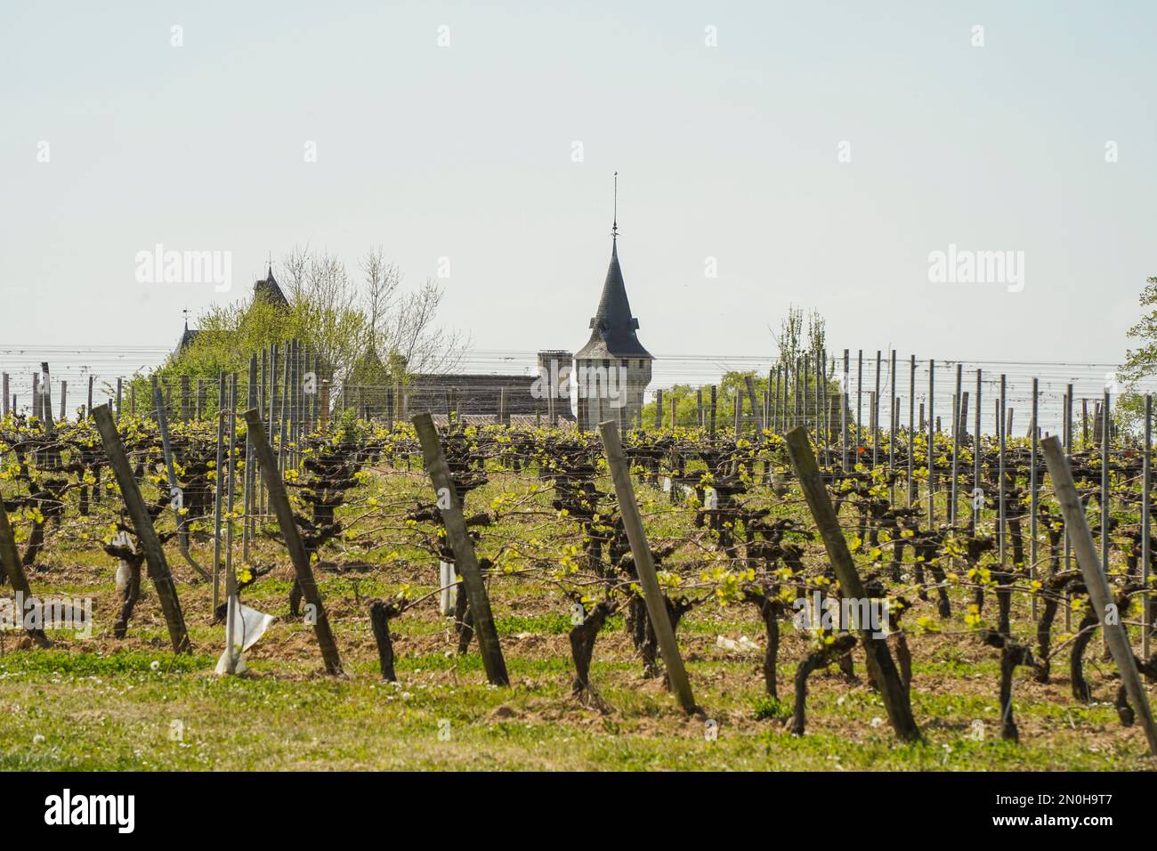 Wine Estate Chateau Carignan, castle, Carignan de Bordeaux, France ...