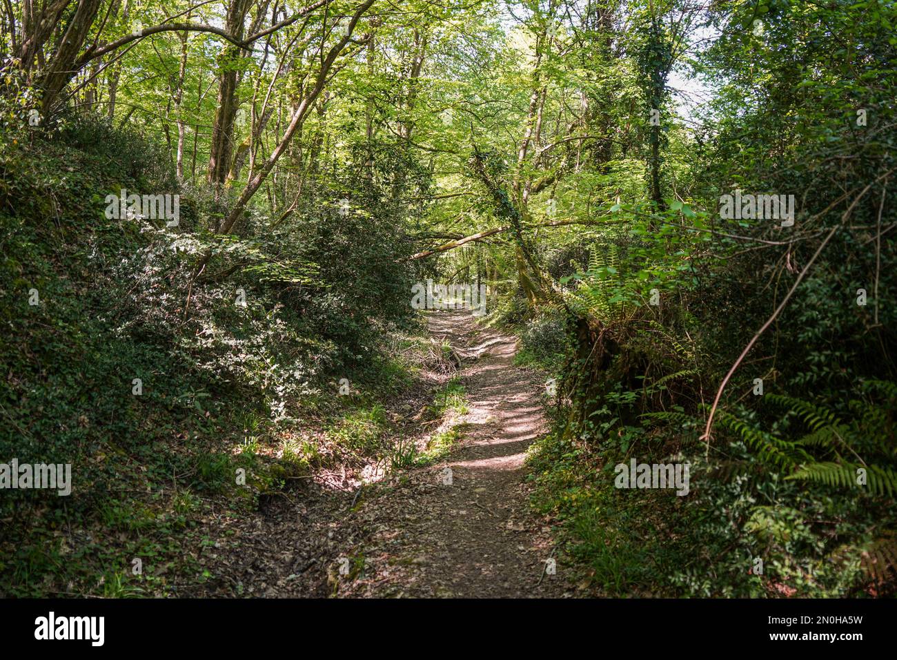 Chemin de bouteronde hi-res stock photography and images - Alamy