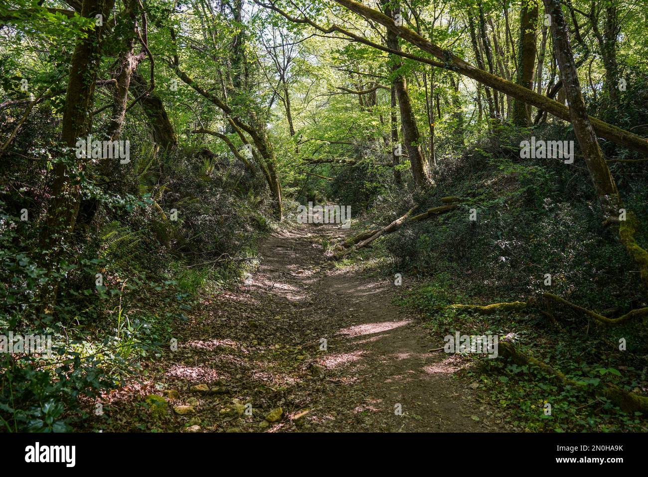 Chemin de bouteronde hi-res stock photography and images - Alamy