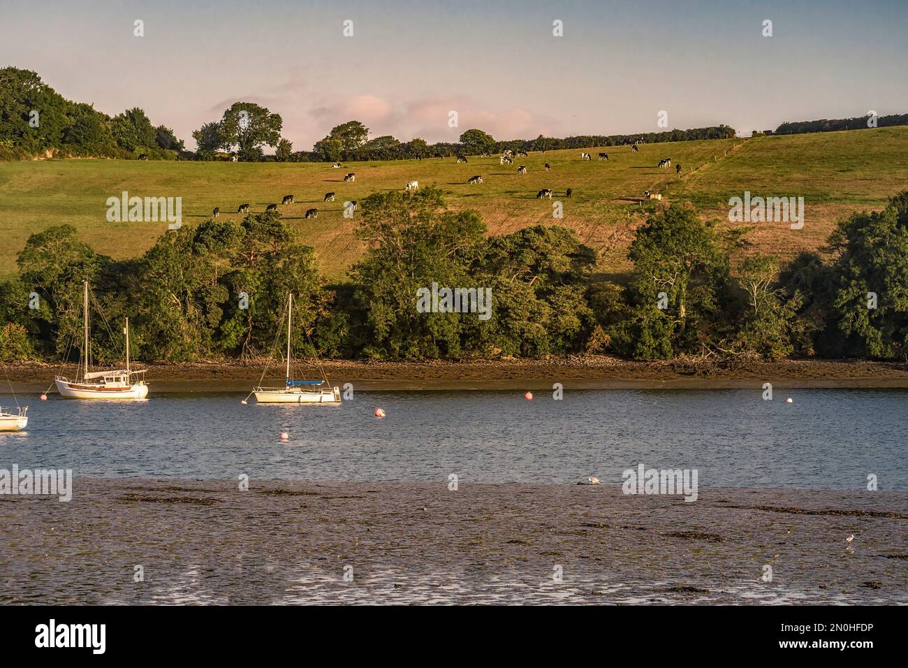 Crosshaven yacht club hi-res stock photography and images - Alamy