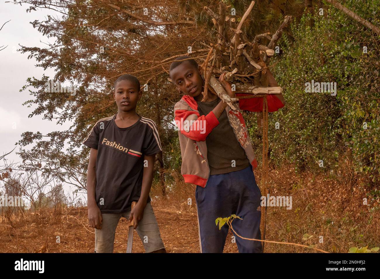 Karatu, Tanzania - October 16th, 2022: Two boys carrying tree branches ...