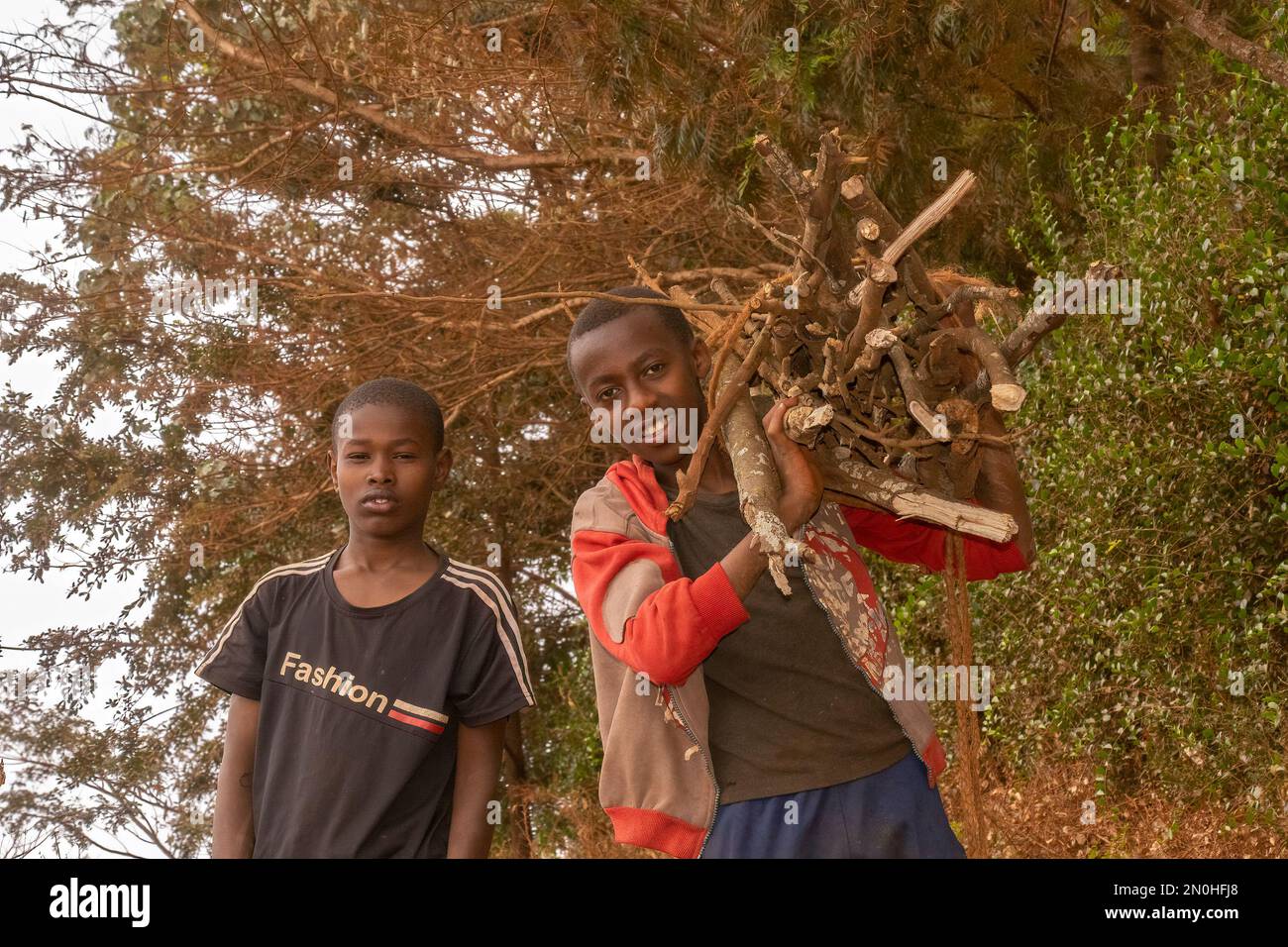 Karatu, Tanzania - October 16th, 2022: Two boys carrying tree branches ...
