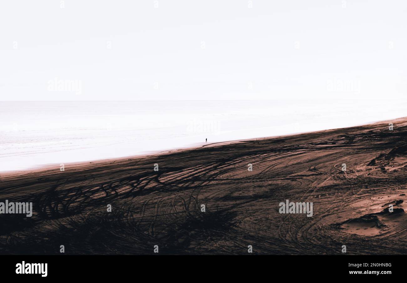 Lonely person in the distance walking on the black sand Muriwai Beach ...