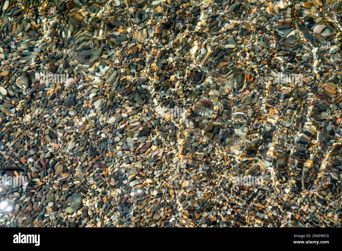 The texture of the bottom. Many small stones are visible under the ...