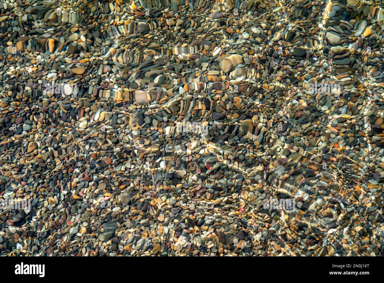 The texture of the bottom. Many small stones are visible under the ...