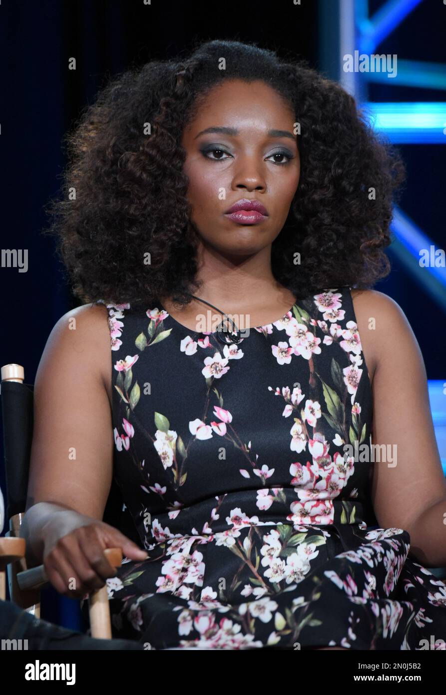 Christina Jackson participates in the panel for "Outsiders" at the WGN ...