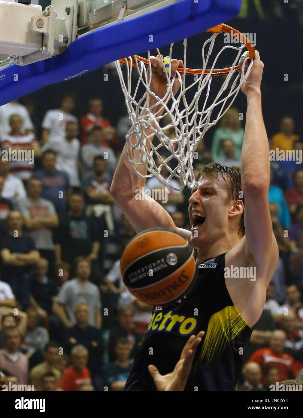Jan Vesely Dunk