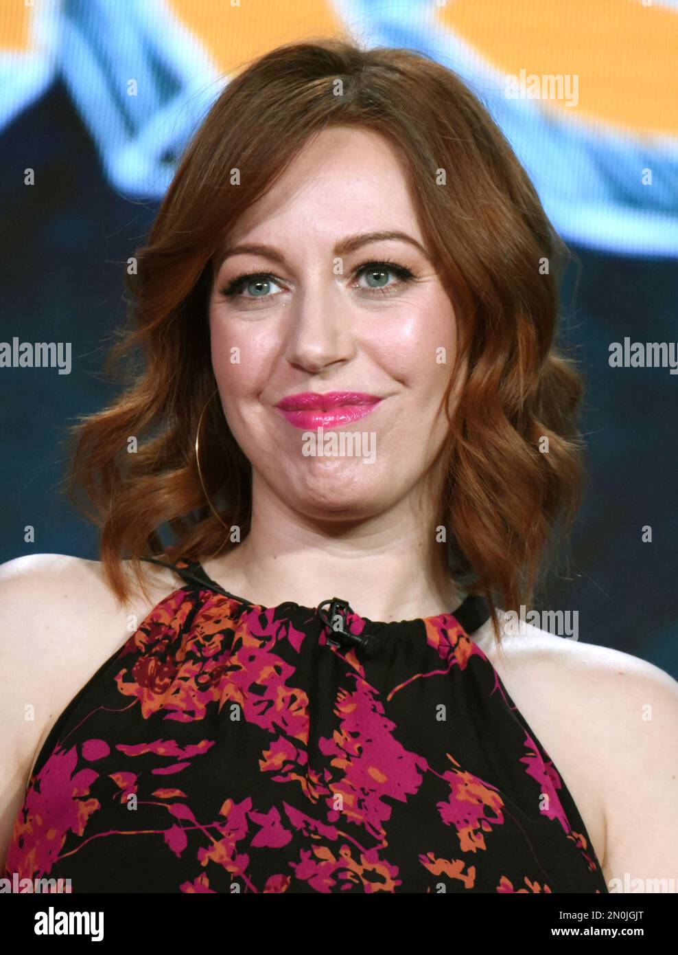 Executive Producer Kathryn Renee Thomas appears during the "Teachers" panel at the TV Land 2016 ...