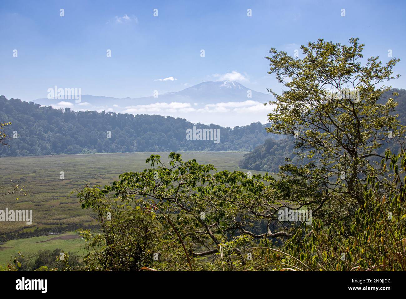 Kilimanjaro district hi-res stock photography and images - Alamy