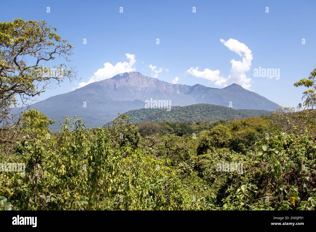 Tansania mount meru hi-res stock photography and images - Alamy