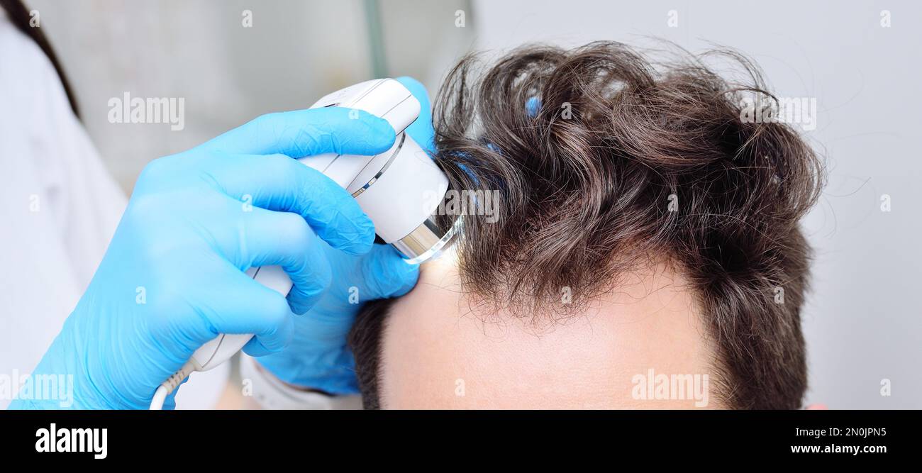 Close-up cosmetologist trichologist diagnoses the condition of the hair ...