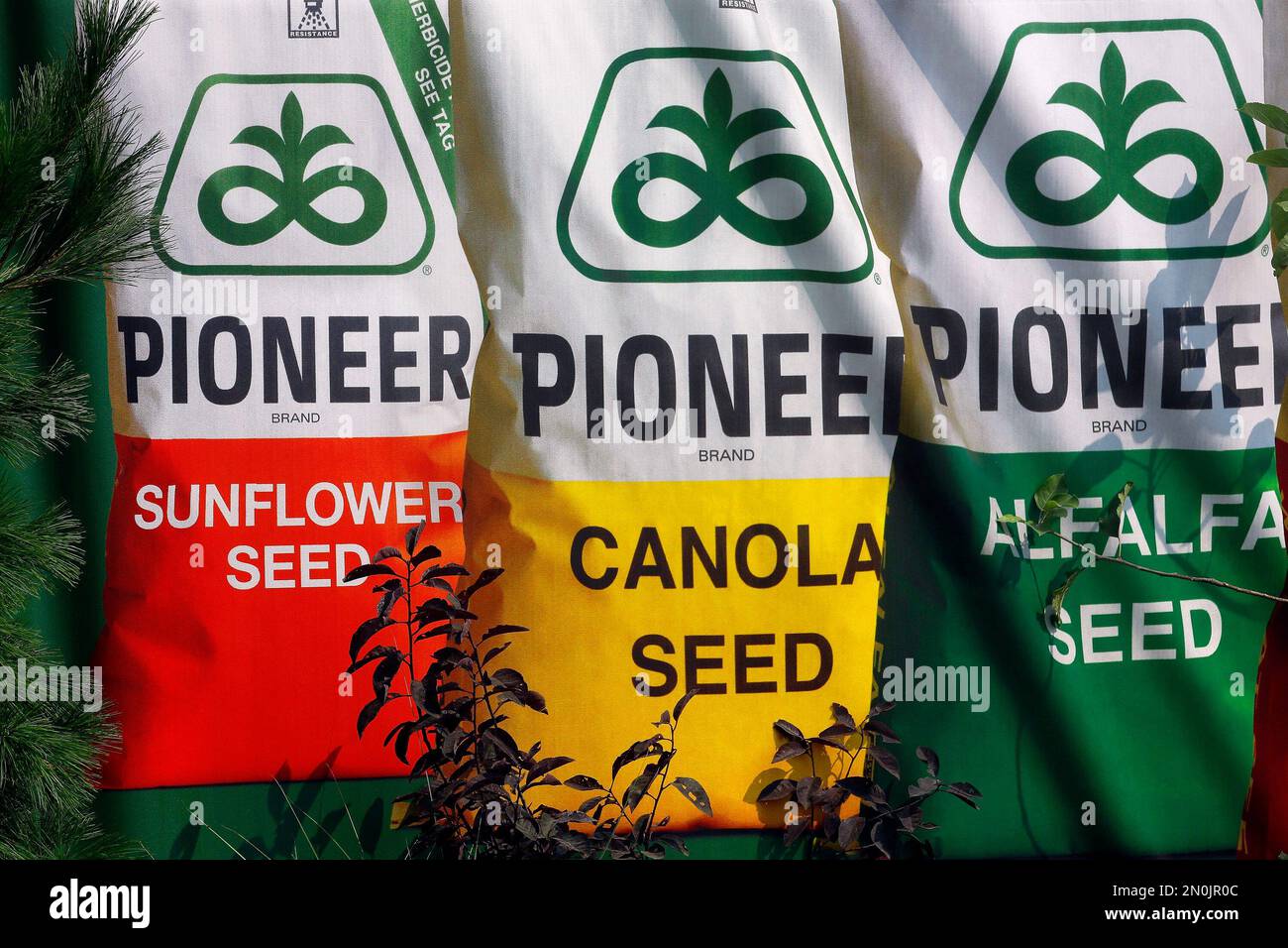 Pioneer Dupont Logo