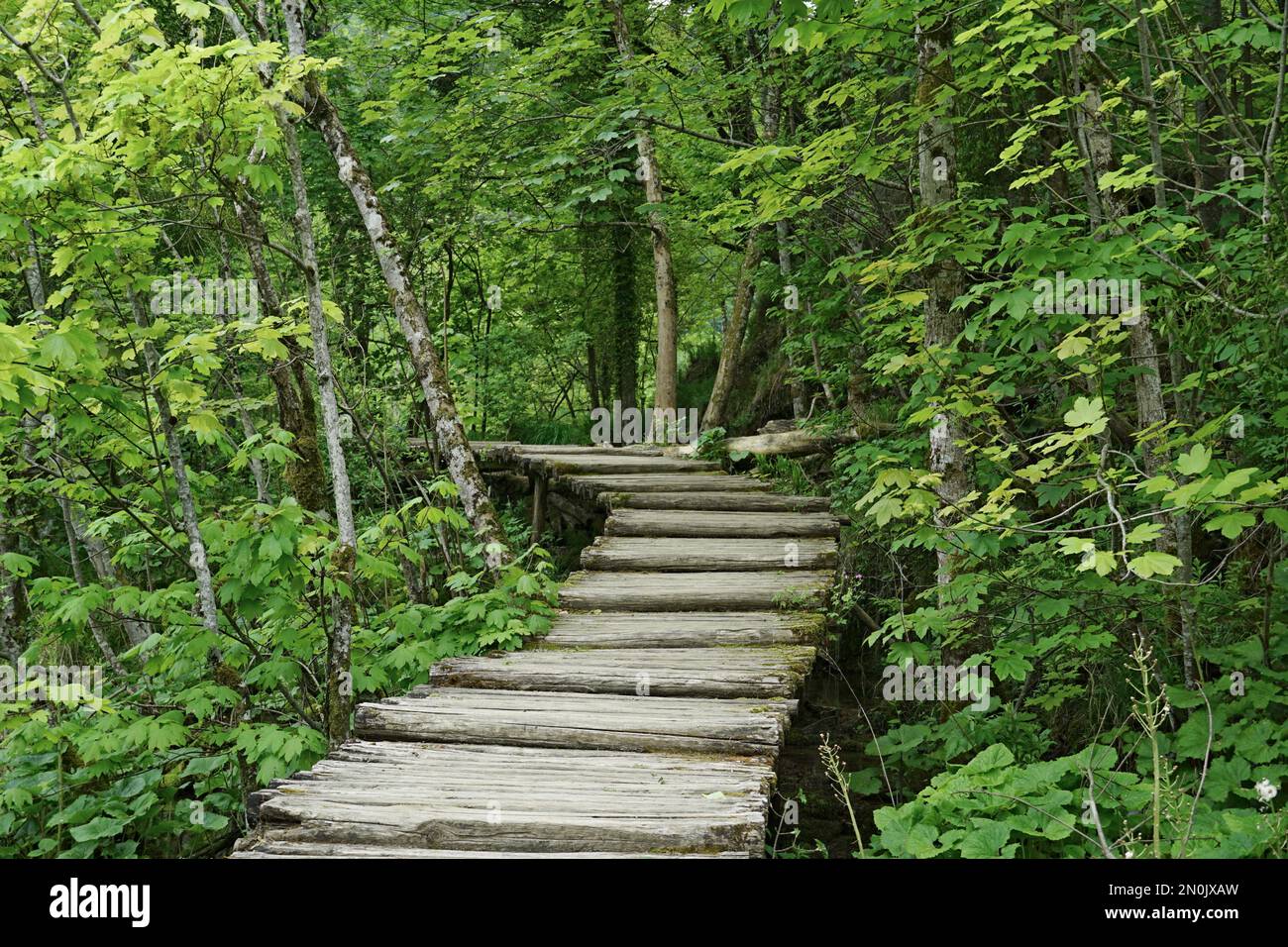 Disappearing path hi-res stock photography and images - Alamy