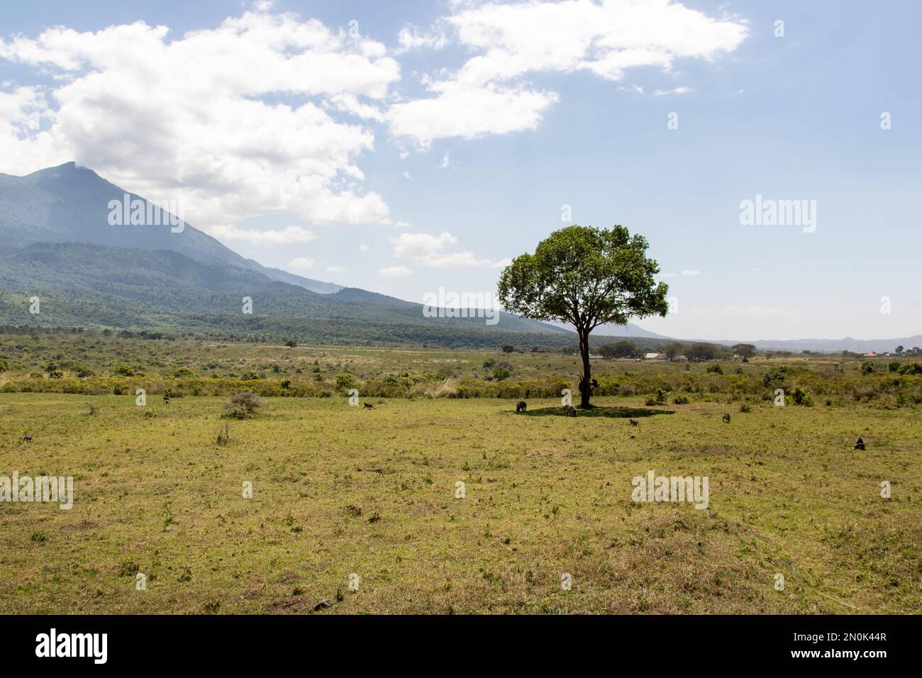 Meru mount hi-res stock photography and images - Alamy