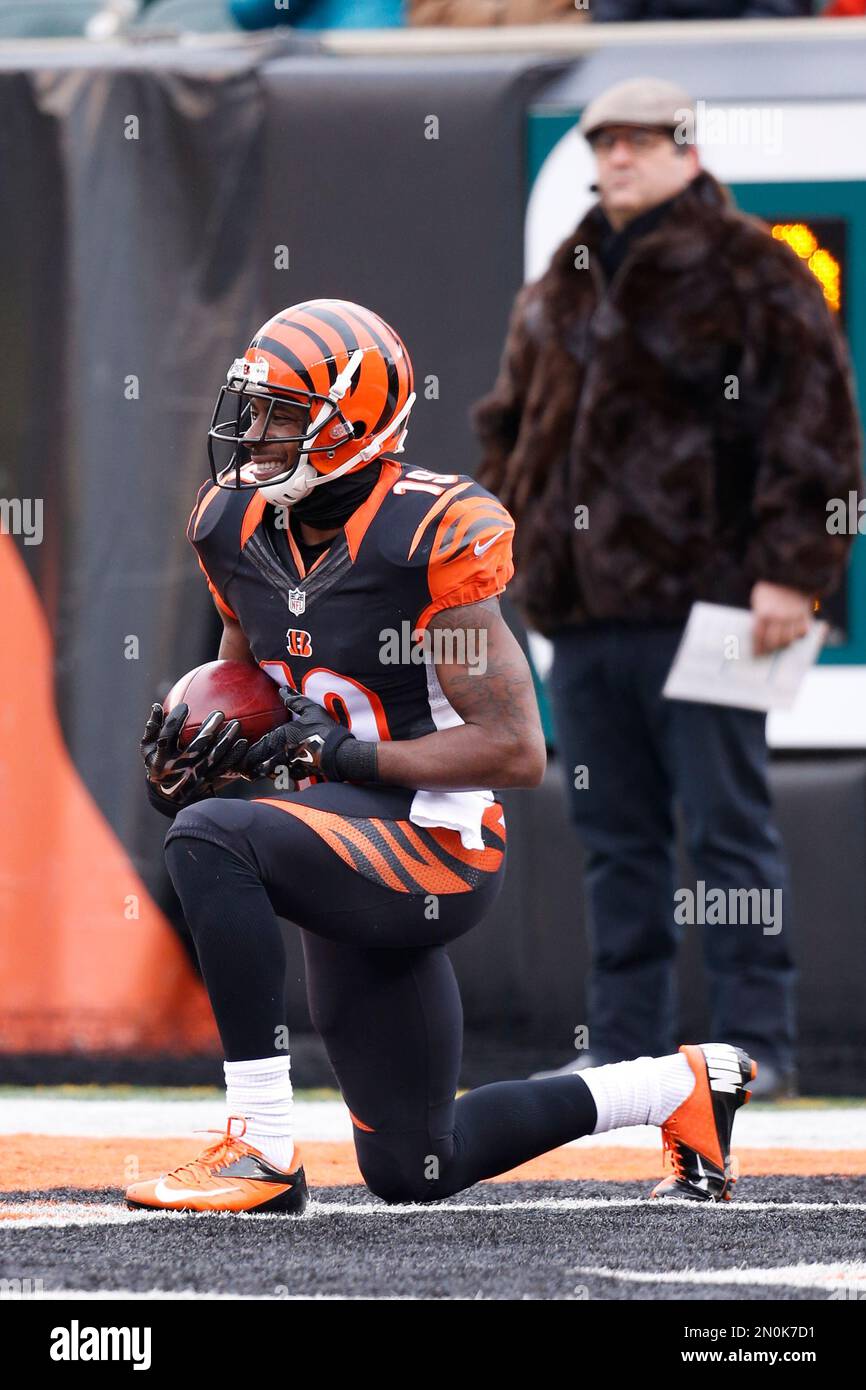 Cincinnati Bengals wide receiver Brandon Tate (19) smiles after taking ...
