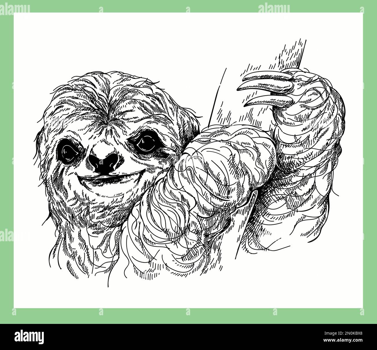 Hand drawn sketch style Sloth isolated on white background. Vector ...