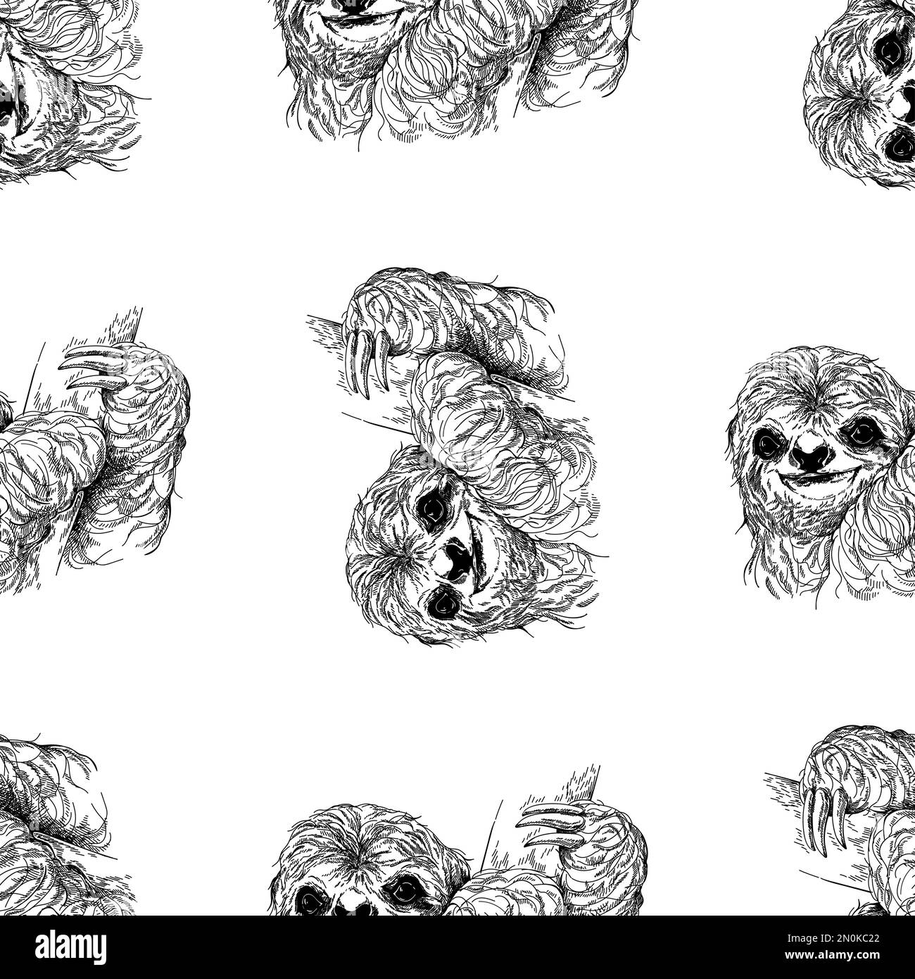 Sloth texture Black and White Stock Photos & Images - Alamy
