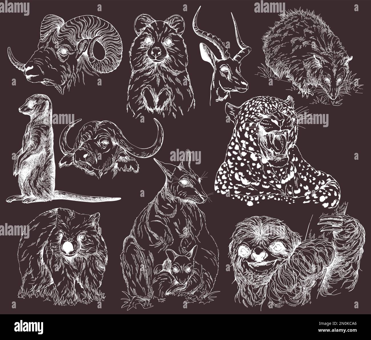 Set of hand drawn sketch style animals isolated on dark background ...