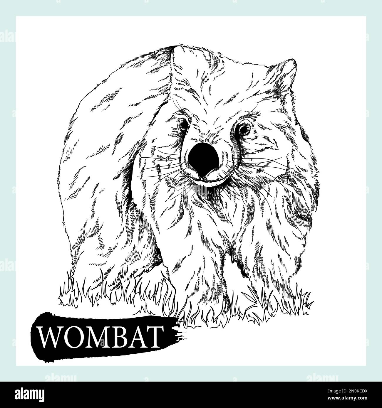 Hand drawn sketch style Wombat isolated on white background. Vector ...