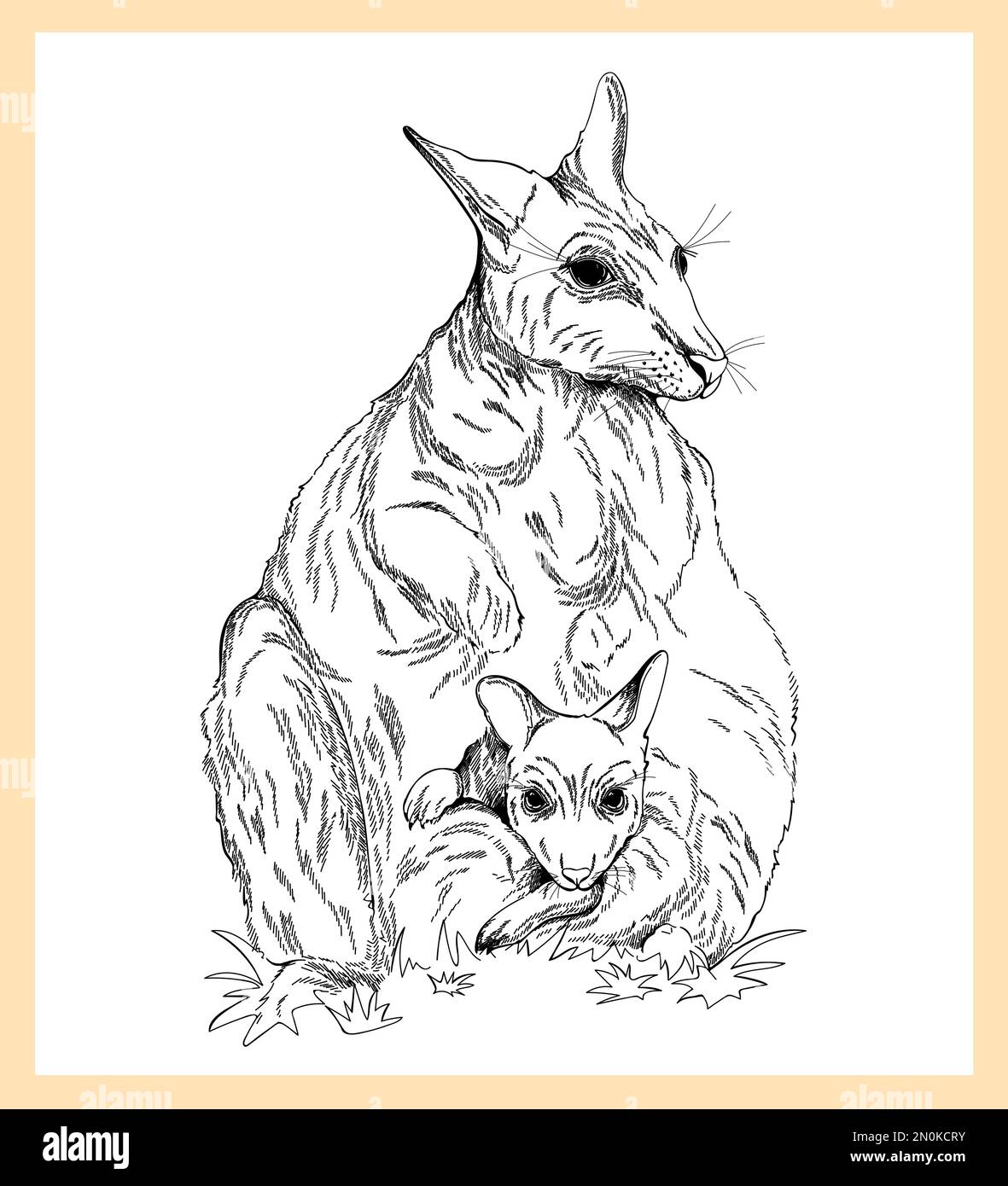 Hand drawn sketch style Kangaroo isolated on white background. Vector ...