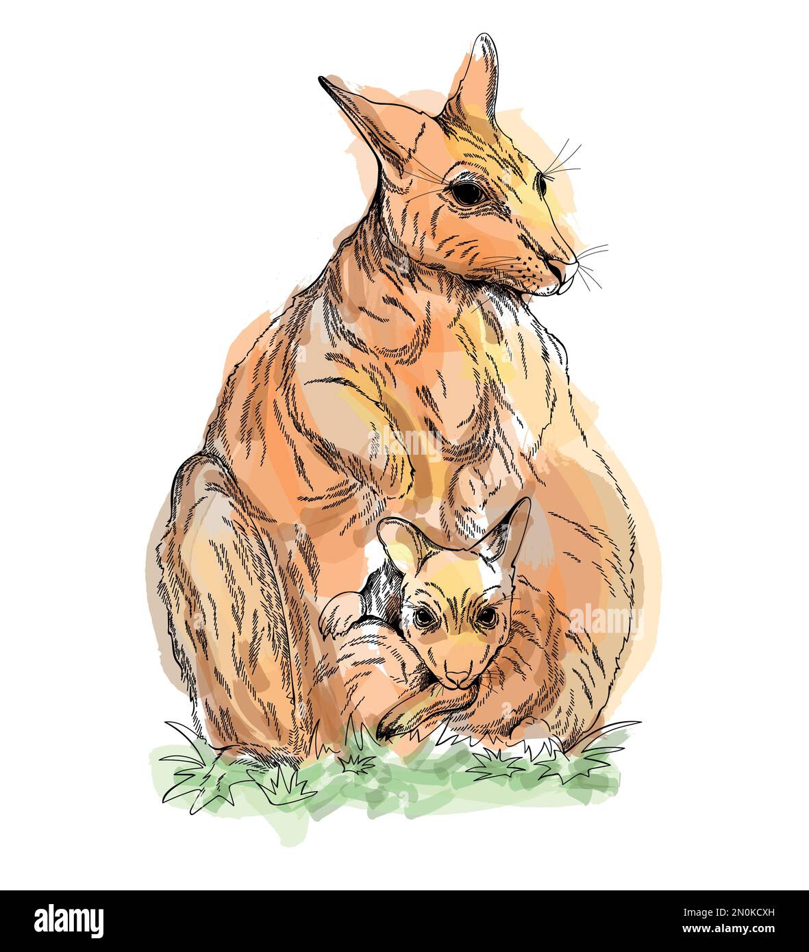 Hand drawn sketch style Kangaroo isolated on white background. Vector ...