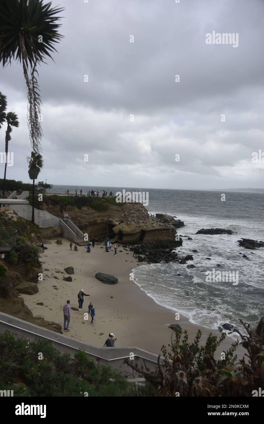 Petite La Jolla Cove is a cove & beach surrounded by cliffs and sea ...