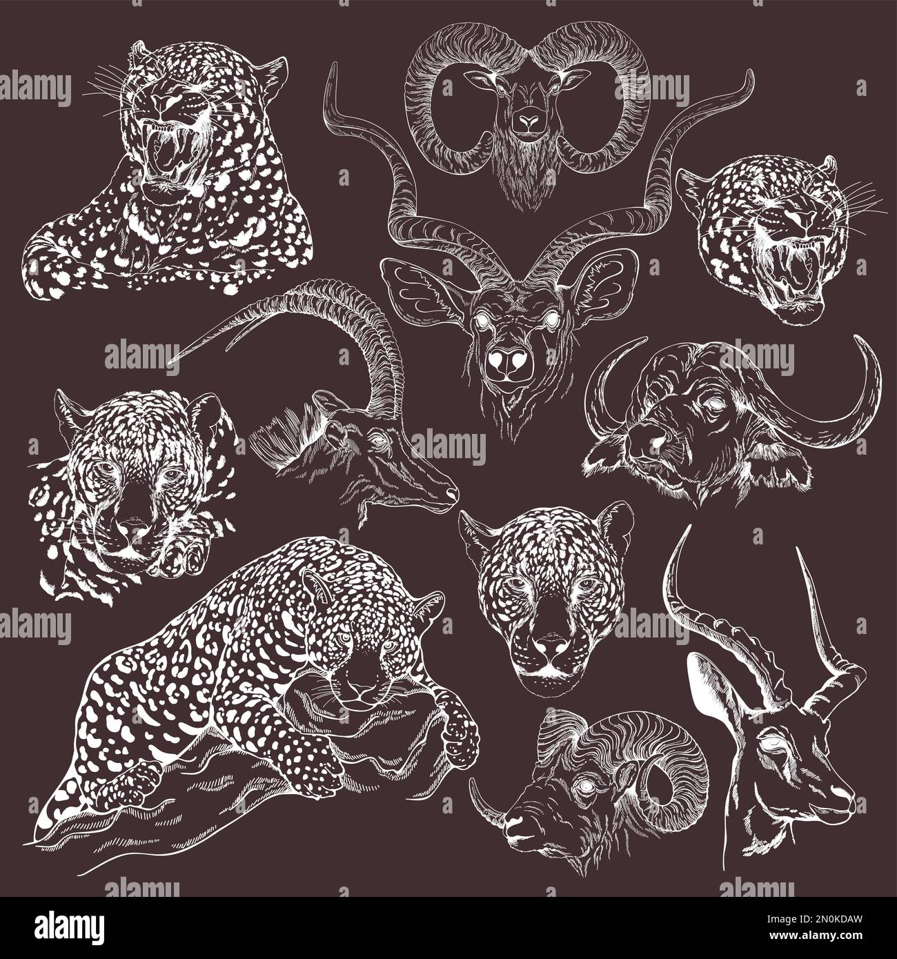 Set of hand drawn sketch style animals isolated on dark background ...