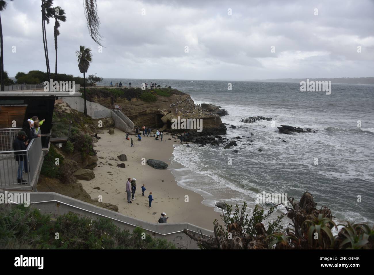 Petite La Jolla Cove is a cove & beach surrounded by cliffs and sea ...