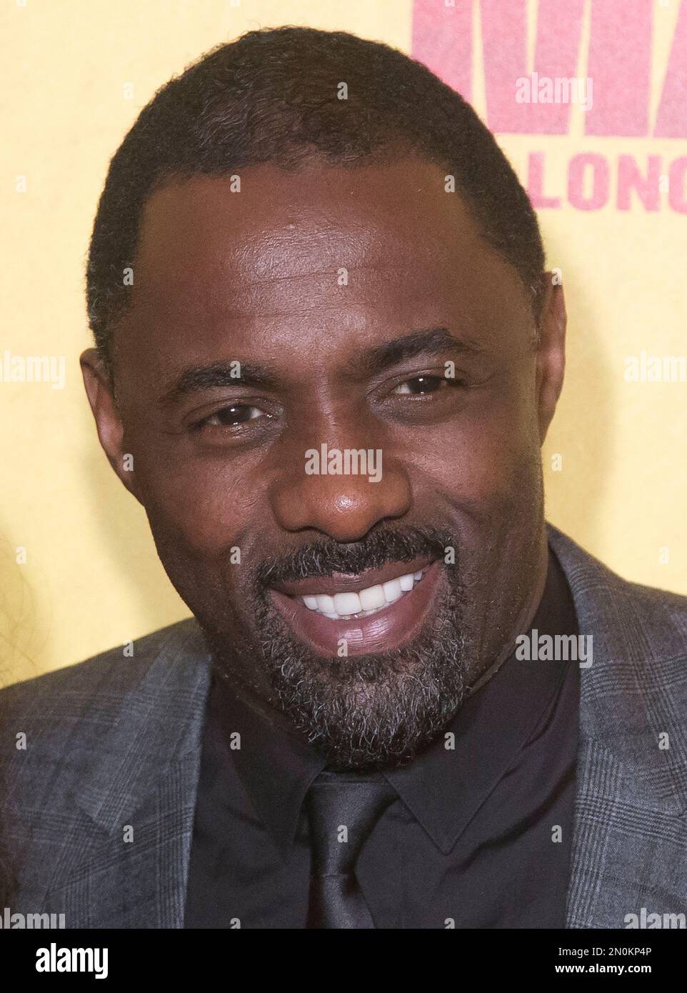 FILE - This is a Monday, Dec. 2, 2013 file photo of British actor Idris ...