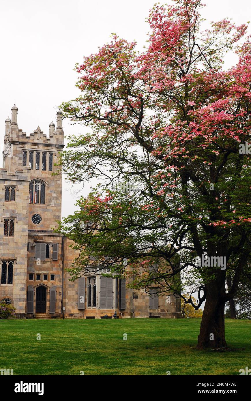A spring blossoming tree near Lyndhurst Castle, Tarrytown, New York ...