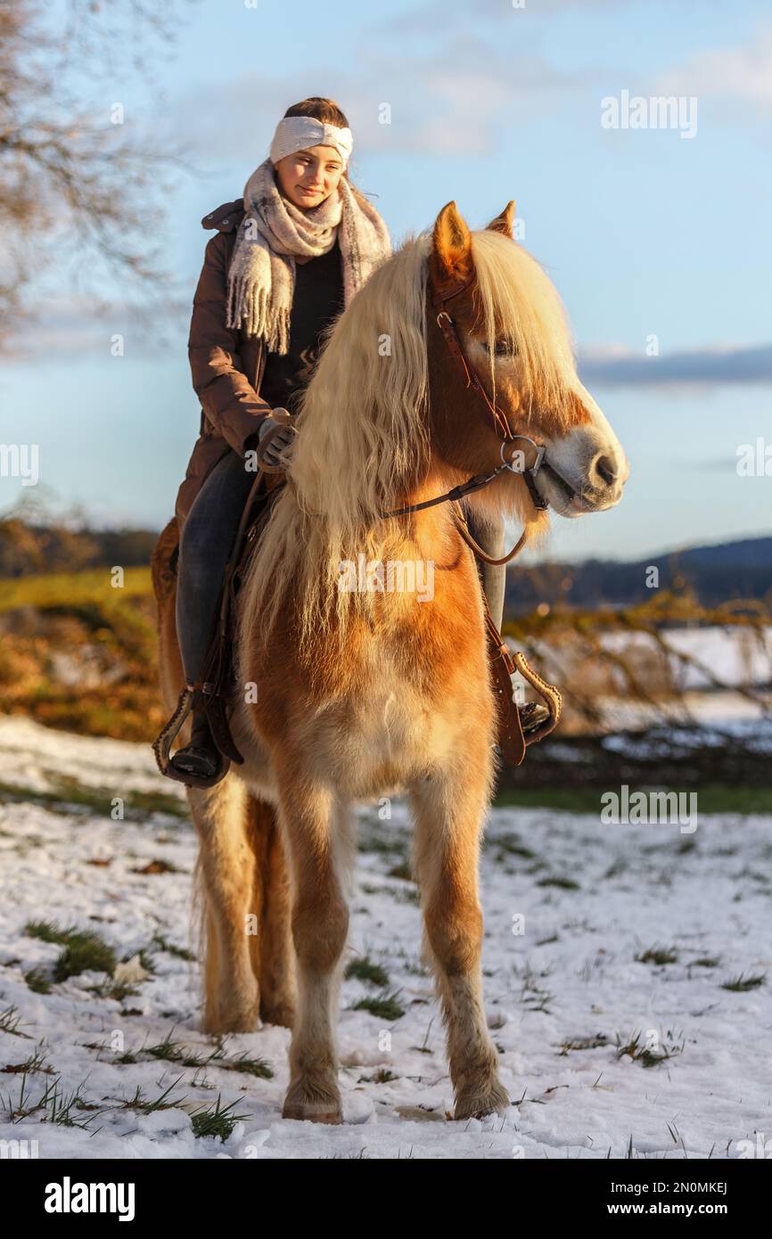 A young equestrian teenage girl rides on her haflinger horse through ...