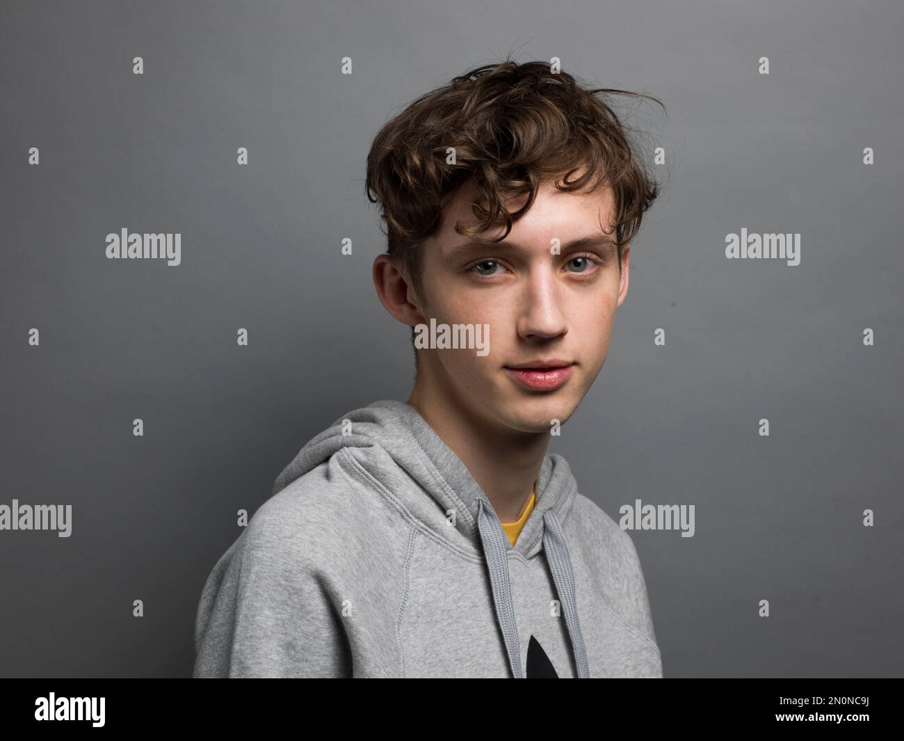 Troye Sivan poses for a portrait on Friday, Dec. 4, 2015, in New York ...
