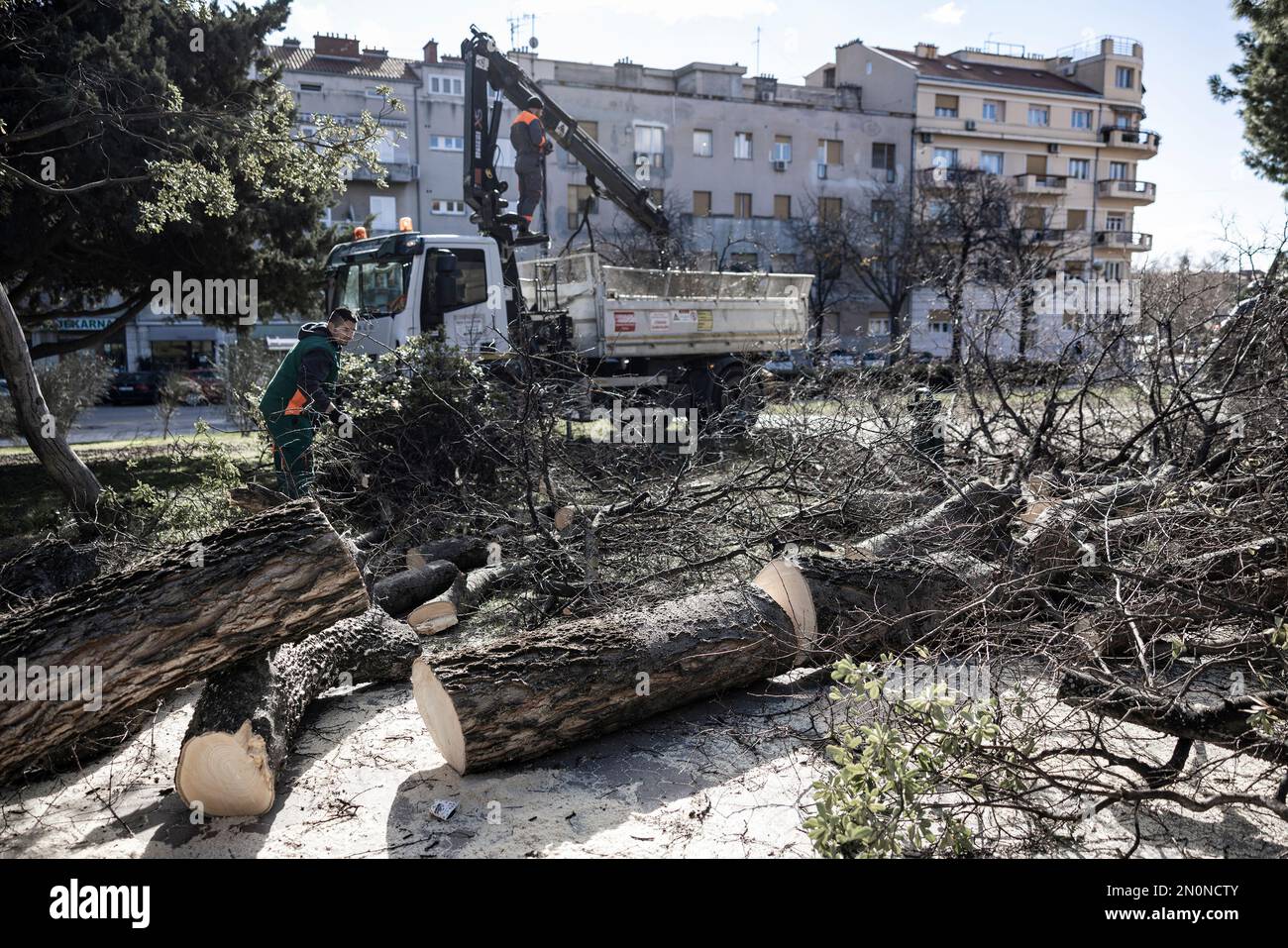Photo taken on February 5, 2023 shows fallen tree after a gust of wind ...