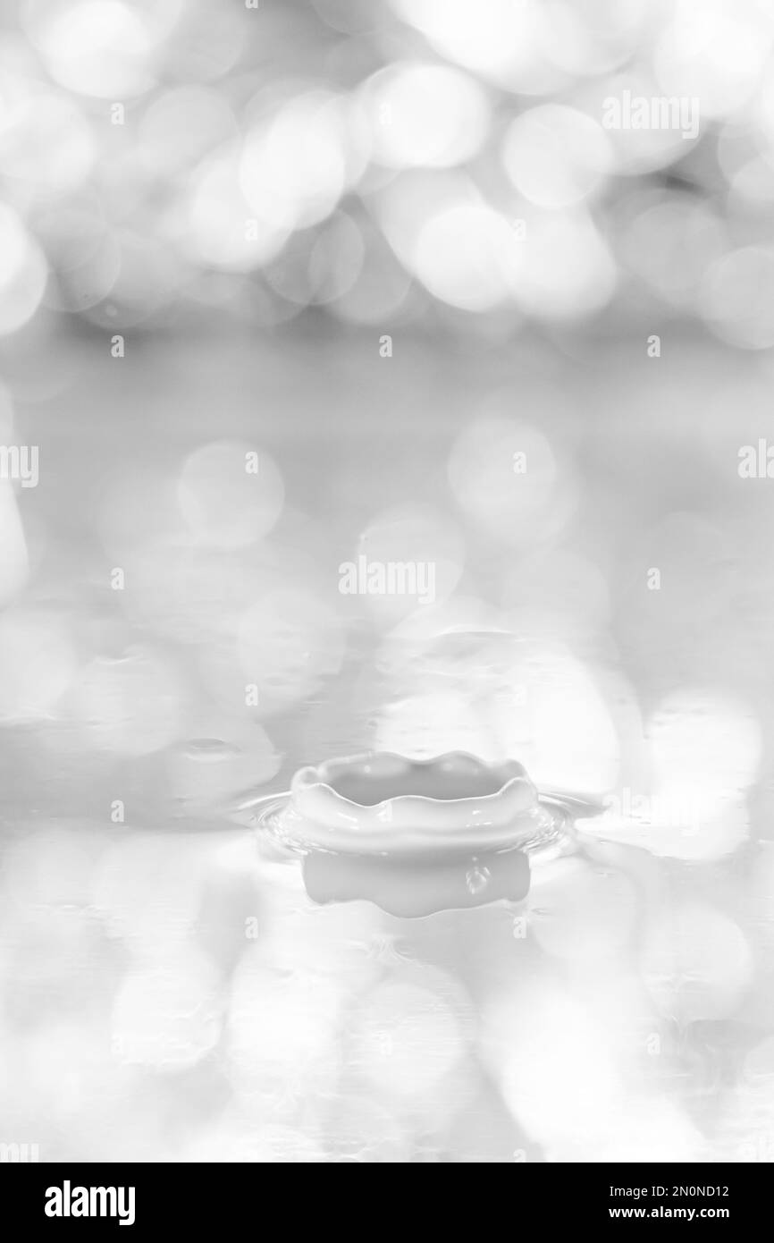 The drop falls into a dense liquid with a white background. Abstract ...