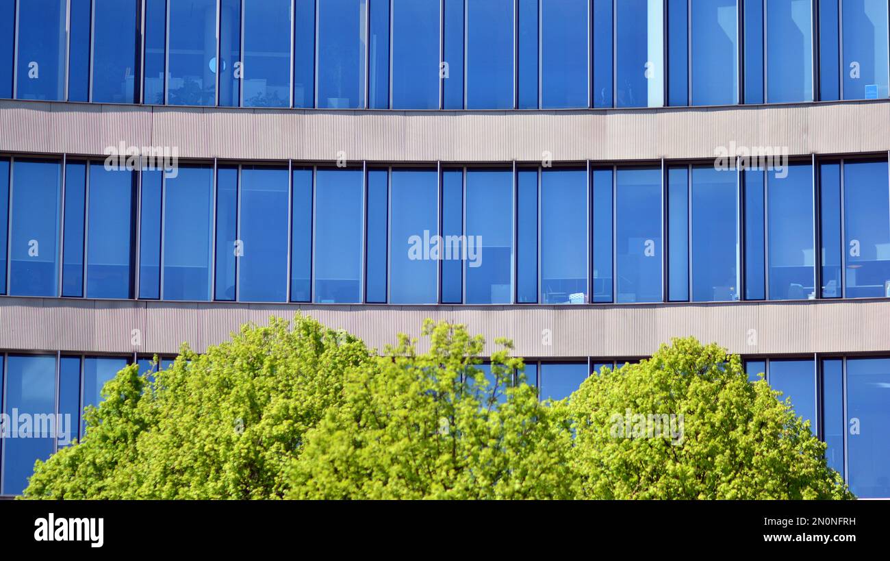 Eco architecture. Green tree and glass office building. The harmony of ...