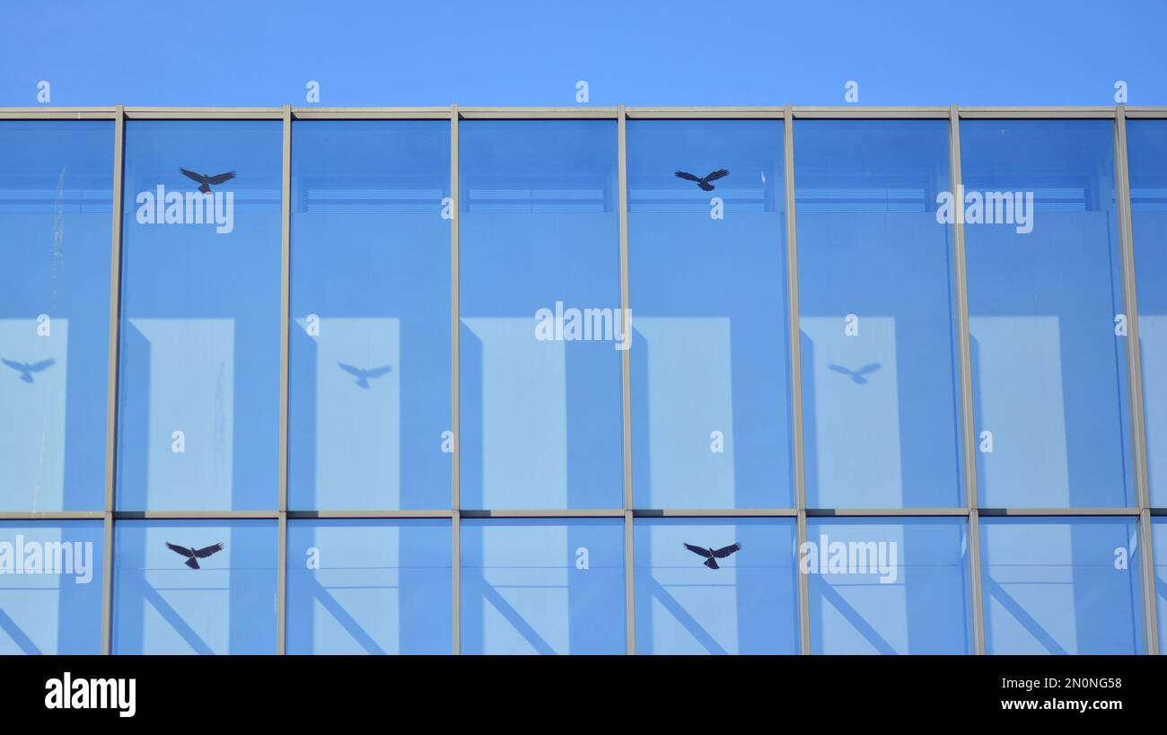 Facade texture of a glass mirrored office building. Fragment of the ...