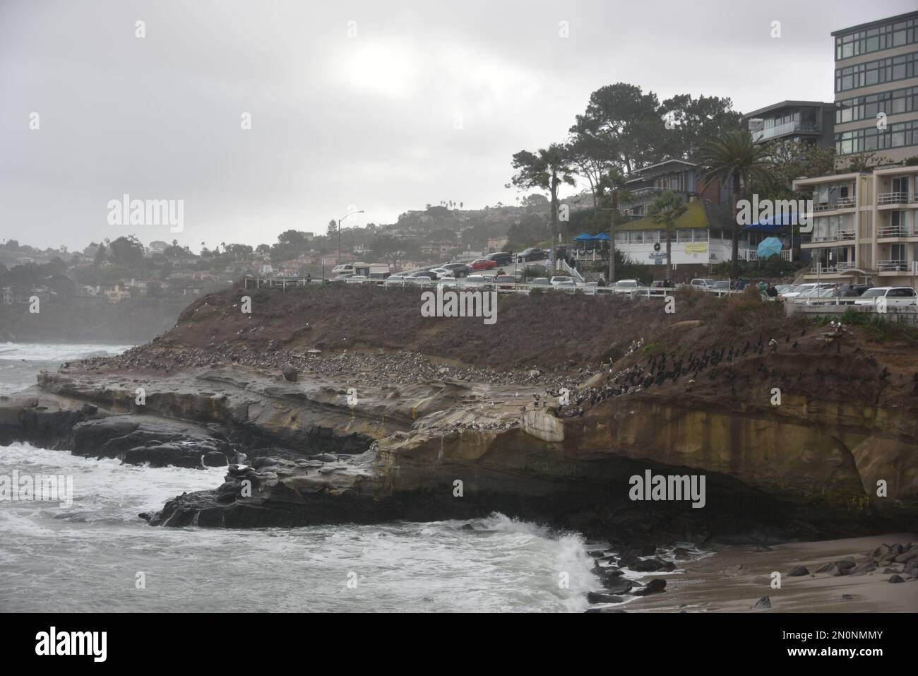 Petite La Jolla Cove is a cove & beach surrounded by cliffs and sea ...