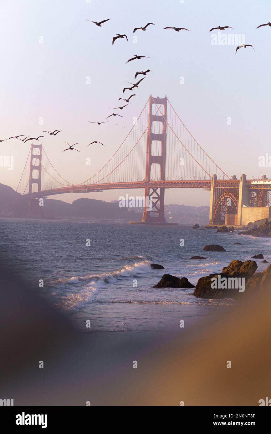 Golden Gate Bridge with Pelican formation shot from Baker Beach, San ...