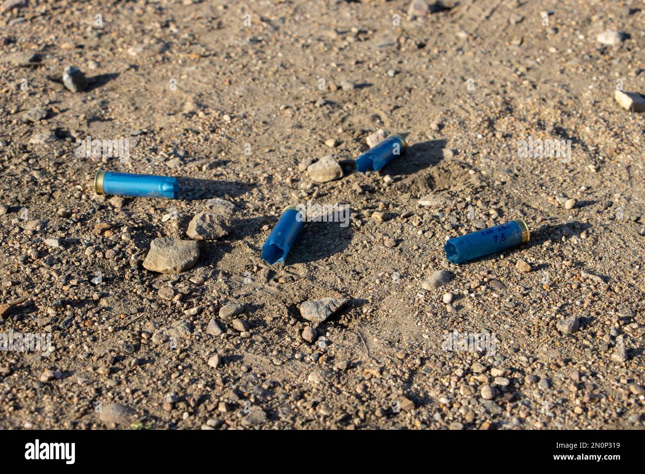 discarded shotgun shells on dirt Stock Photo - Alamy