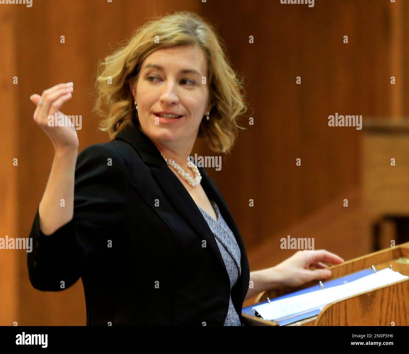 Attorney Meryl B. Carver-Allmond for the appellant Gary Kleypas argues ...