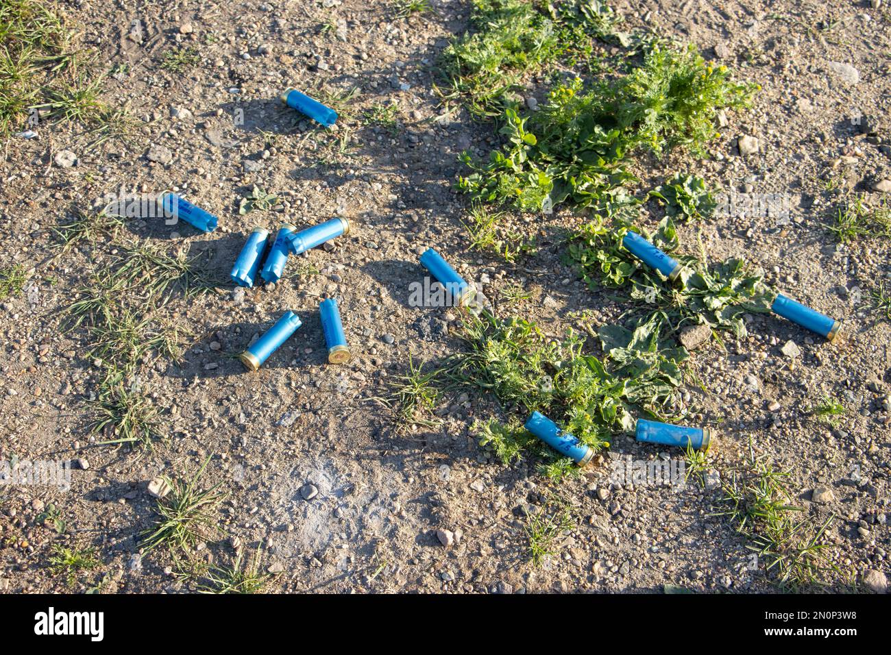 shotgun shell casings on ground in dirt Stock Photo - Alamy