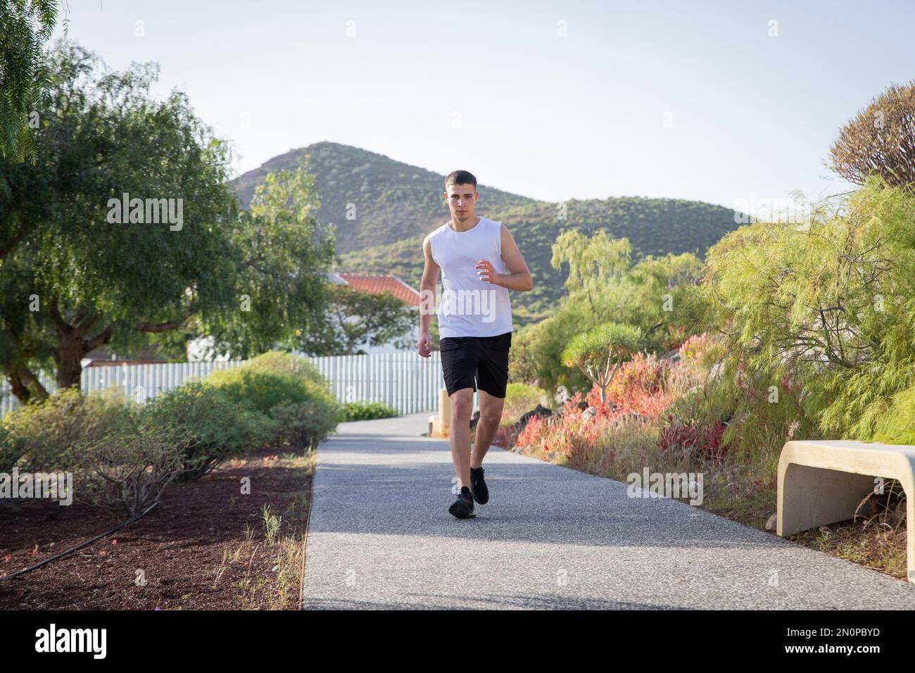 A young runner runs in a public park, sports and wellness concept Stock ...