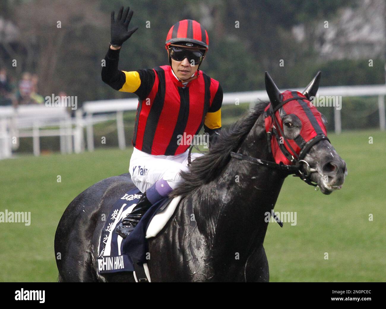 Japanese jockey Yutaka Take riding Japan horse A Shin Hikari celebrates ...