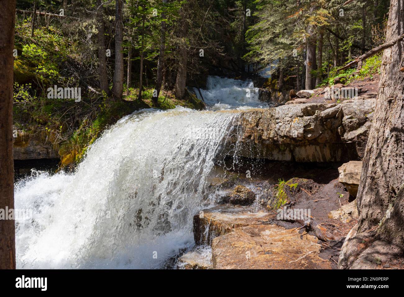 Troll Falls, Kananaskis Country Alberta Canada in the summertime Stock ...