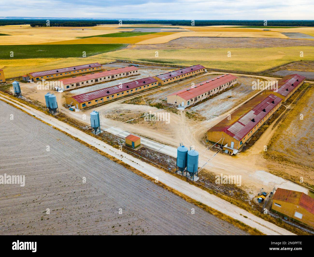 Farm for growing pigs in central Spain Stock Photo - Alamy