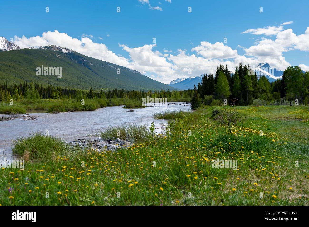 Scenic summer views in the the Canadian Rocky Mountains. Kananaskis ...