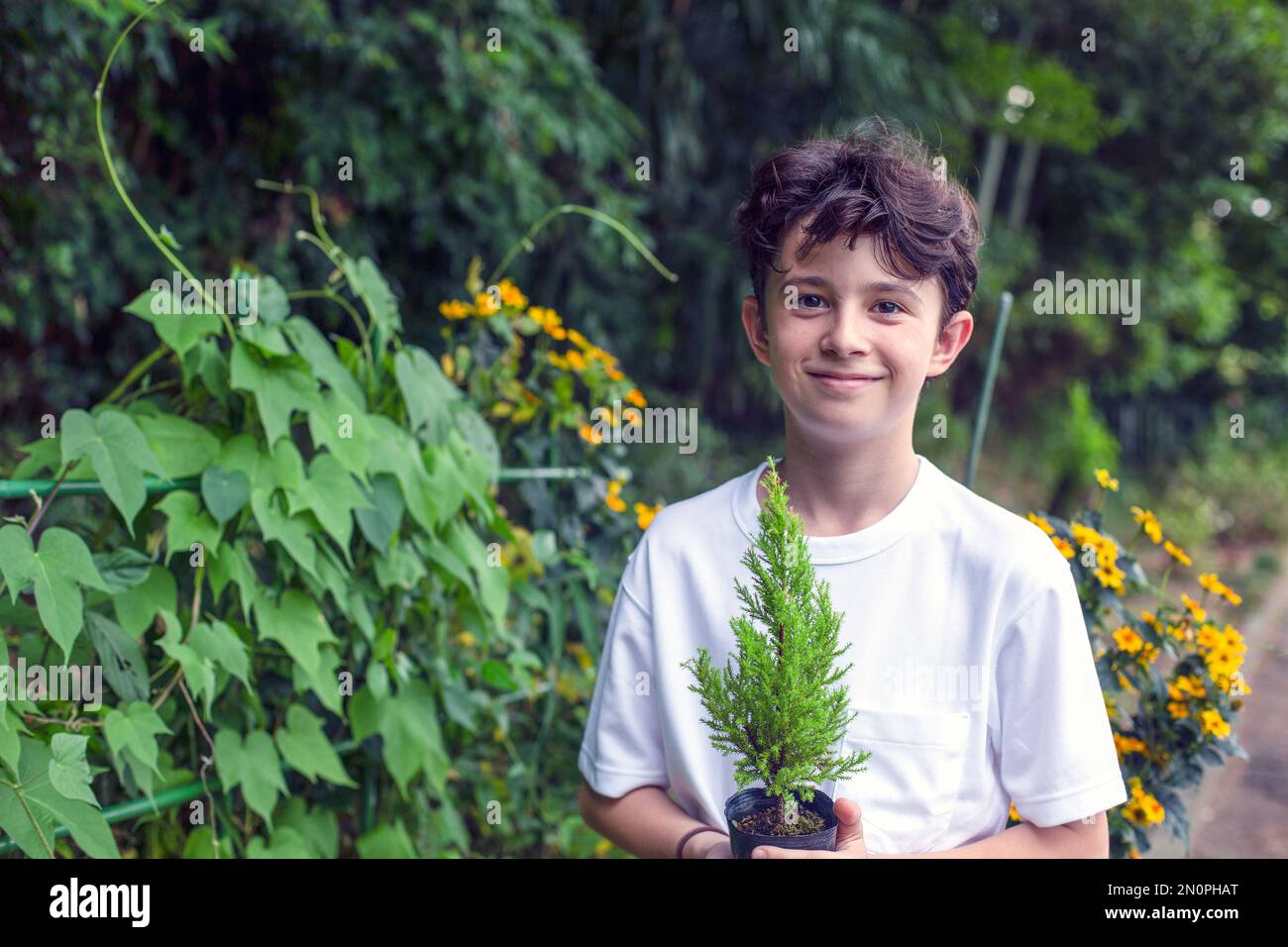 Boy holding sapling hi-res stock photography and images - Alamy